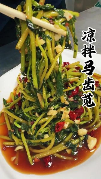 马齿苋怎么做好吃_马齿苋的家常做法大全-第1张图片-山城妙识 马齿苋怎么做好吃_马齿苋的家常做法大全-第1张图片-山城妙识