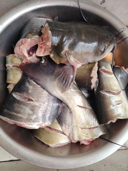 清炖鱼最简单的做法_清炖鱼怎么做好吃又简单-第2张图片-山城妙识 清炖鱼最简单的做法_清炖鱼怎么做好吃又简单-第2张图片-山城妙识