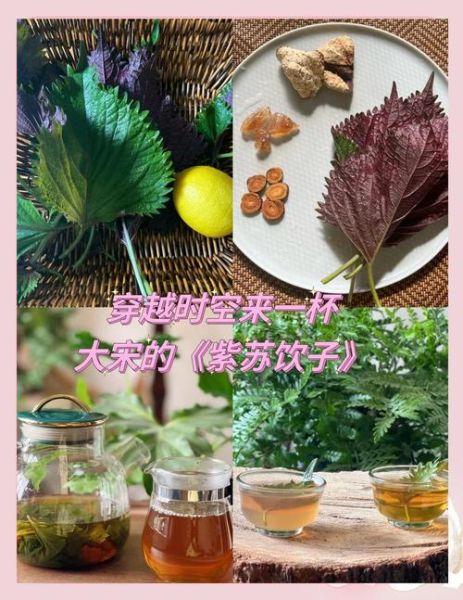 紫苏叶怎么做好吃_紫苏叶的做法大全-第3张图片-山城妙识 紫苏叶怎么做好吃_紫苏叶的做法大全-第3张图片-山城妙识