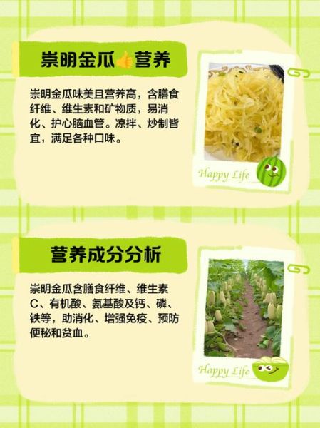 崇明金瓜怎么做好吃_崇明金瓜的做法大全-第3张图片-山城妙识 崇明金瓜怎么做好吃_崇明金瓜的做法大全-第3张图片-山城妙识