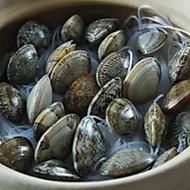 砂锅粉丝煲怎么做_砂锅粉丝煲需要多久-第1张图片-山城妙识 砂锅粉丝煲怎么做_砂锅粉丝煲需要多久-第1张图片-山城妙识