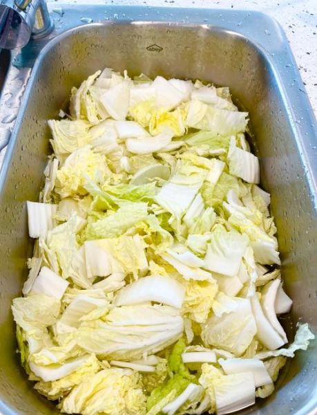 韩国泡菜怎么做才正宗_正宗韩国泡菜腌制方法-第2张图片-山城妙识 韩国泡菜怎么做才正宗_正宗韩国泡菜腌制方法-第2张图片-山城妙识