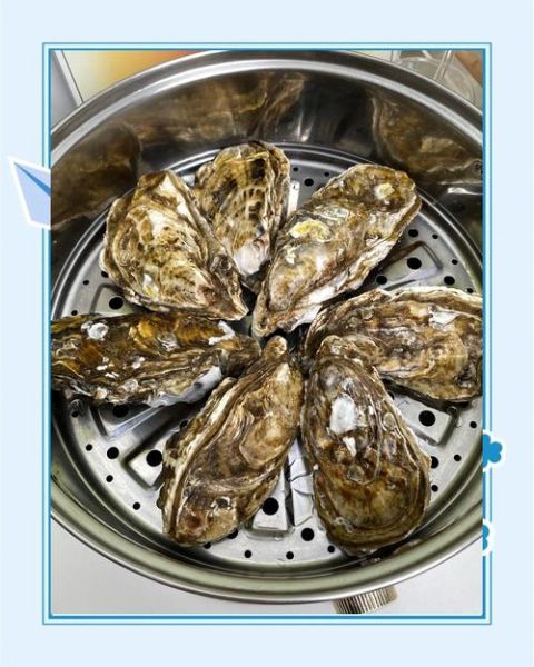 生蚝怎么做好吃_清蒸生蚝需要几分钟-第1张图片-山城妙识 生蚝怎么做好吃_清蒸生蚝需要几分钟-第1张图片-山城妙识