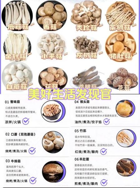 蘑菇汤怎么做_蘑菇汤需要焯水吗-第1张图片-山城妙识 蘑菇汤怎么做_蘑菇汤需要焯水吗-第1张图片-山城妙识