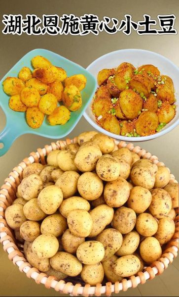 蒸土豆怎么做才好吃_蒸土豆需要多长时间-第1张图片-山城妙识