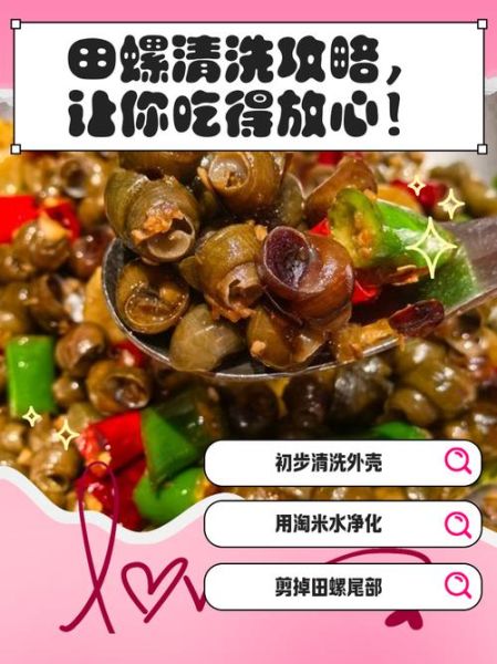 田螺怎么清洗干净_田螺做法家常步骤-第1张图片-山城妙识