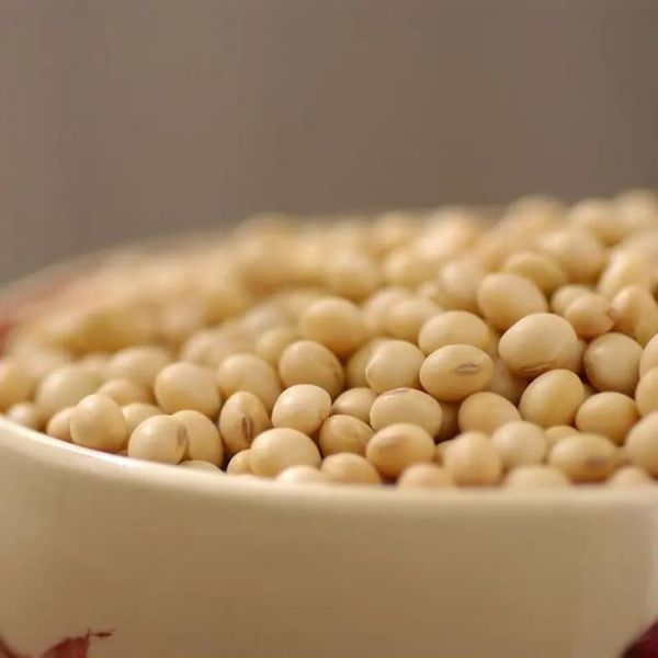 霉千张怎么做_霉千张的做法步骤-第1张图片-山城妙识 霉千张怎么做_霉千张的做法步骤-第1张图片-山城妙识