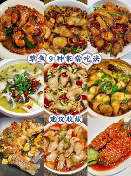 草鱼怎么做好吃_家常草鱼做法大全-第2张图片-山城妙识 草鱼怎么做好吃_家常草鱼做法大全-第2张图片-山城妙识