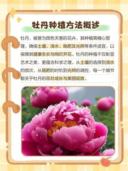 牡丹花怎么养_牡丹花什么时候开花-第1张图片-山城妙识 牡丹花怎么养_牡丹花什么时候开花-第1张图片-山城妙识