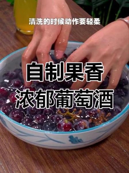 自酿葡萄酒的正确做法_家庭自酿葡萄酒常见问题-第2张图片-山城妙识 自酿葡萄酒的正确做法_家庭自酿葡萄酒常见问题-第2张图片-山城妙识