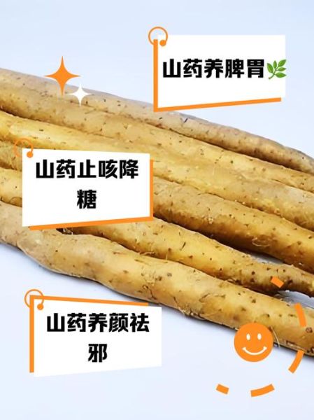 铁杆山药怎么做好吃_铁杆山药的家常做法-第2张图片-山城妙识 铁杆山药怎么做好吃_铁杆山药的家常做法-第2张图片-山城妙识