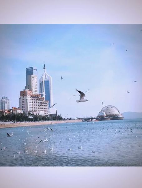 青岛旅游最佳时间_青岛必去景点有哪些-第2张图片-山城妙识 青岛旅游最佳时间_青岛必去景点有哪些-第2张图片-山城妙识