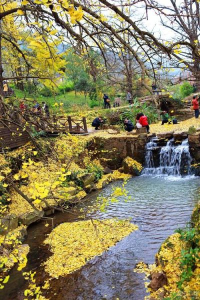 盘县在哪里_盘县有什么特色景点-第1张图片-山城妙识 盘县在哪里_盘县有什么特色景点-第1张图片-山城妙识