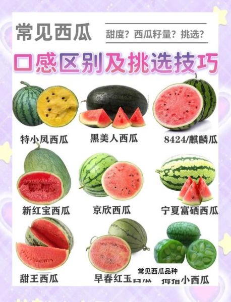 西瓜怎么挑选_西瓜怎么切不流汁-第3张图片-山城妙识 西瓜怎么挑选_西瓜怎么切不流汁-第3张图片-山城妙识