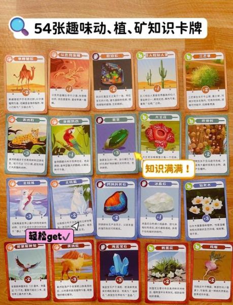 初中地理游戏有哪些_怎么设计更有趣-第1张图片-山城妙识 初中地理游戏有哪些_怎么设计更有趣-第1张图片-山城妙识