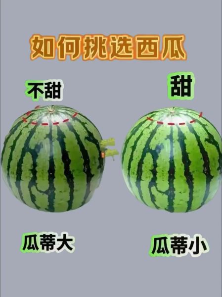 西瓜怎么挑选_西瓜怎么切不流汁-第2张图片-山城妙识 西瓜怎么挑选_西瓜怎么切不流汁-第2张图片-山城妙识