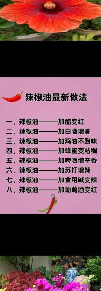 辣椒油怎么做_辣椒油的做法步骤-第2张图片-山城妙识 辣椒油怎么做_辣椒油的做法步骤-第2张图片-山城妙识