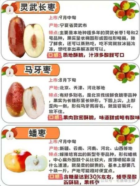 地理枣产地在哪里_地理枣功效与作用-第3张图片-山城妙识 地理枣产地在哪里_地理枣功效与作用-第3张图片-山城妙识