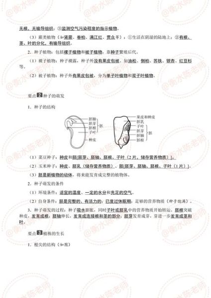 中考生物地理等级怎么划分_如何提高等级-第1张图片-山城妙识 中考生物地理等级怎么划分_如何提高等级-第1张图片-山城妙识