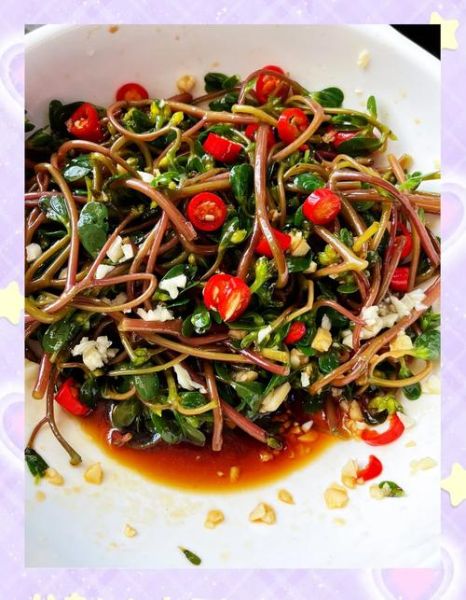 马齿苋怎么做好吃_马齿苋凉拌做法-第2张图片-山城妙识 马齿苋怎么做好吃_马齿苋凉拌做法-第2张图片-山城妙识