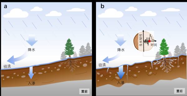气候如何改变地形_气候对土壤的影响有哪些-第3张图片-山城妙识 气候如何改变地形_气候对土壤的影响有哪些-第3张图片-山城妙识
