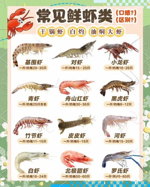 虾地理分布在哪里_虾主要生活在哪些海域-第1张图片-山城妙识 虾地理分布在哪里_虾主要生活在哪些海域-第1张图片-山城妙识