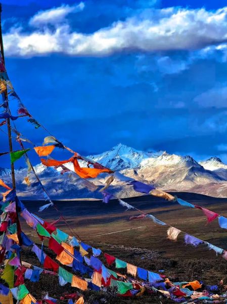 新都桥必去景点有哪些_新都桥摄影天堂最佳拍摄点在哪-第1张图片-山城妙识 新都桥必去景点有哪些_新都桥摄影天堂最佳拍摄点在哪-第1张图片-山城妙识