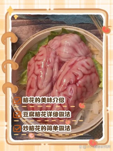 脑花的做法大全_脑花怎么做好吃-第2张图片-山城妙识 脑花的做法大全_脑花怎么做好吃-第2张图片-山城妙识