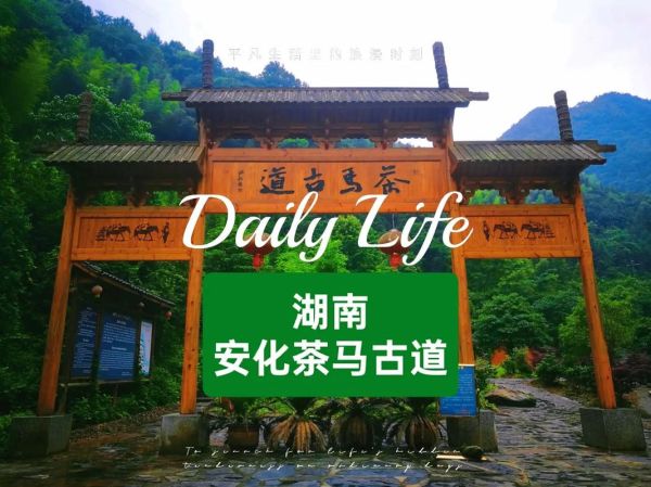 安化茶马古道怎么走_安化黑茶博物馆门票多少钱-第1张图片-山城妙识 安化茶马古道怎么走_安化黑茶博物馆门票多少钱-第1张图片-山城妙识