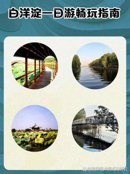 白洋淀最值得去的景点_白洋淀一日游怎么安排-第1张图片-山城妙识 白洋淀最值得去的景点_白洋淀一日游怎么安排-第1张图片-山城妙识