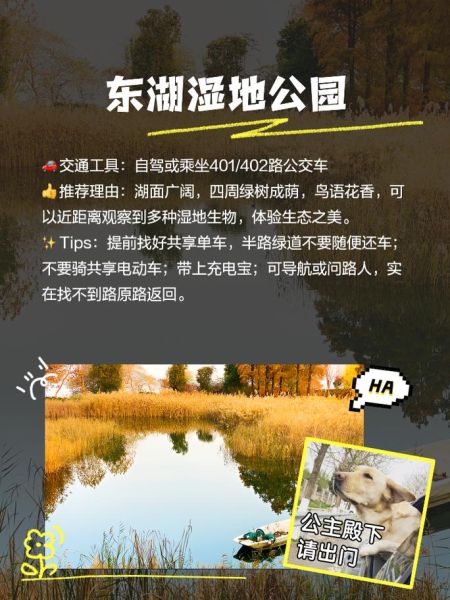 南乐有什么好玩的景点_南乐一日游最佳路线-第2张图片-山城妙识 南乐有什么好玩的景点_南乐一日游最佳路线-第2张图片-山城妙识