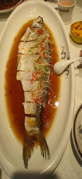 大白鱼怎么做好吃_清蒸大白鱼的做法步骤-第2张图片-山城妙识