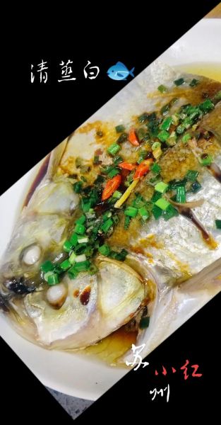 大白鱼怎么做好吃_清蒸大白鱼的做法步骤-第3张图片-山城妙识