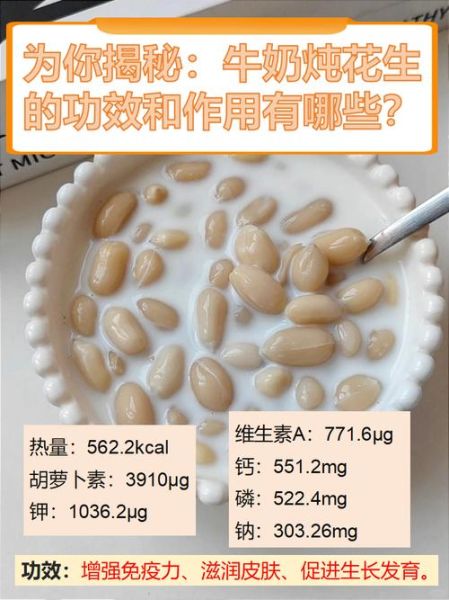 花生牛奶怎么做_自制花生牛奶需要哪些材料-第3张图片-山城妙识