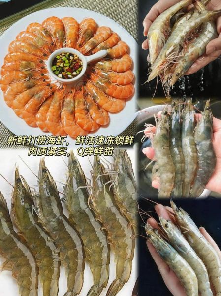 冰冻虾怎么做好吃_冰冻虾的家常做法-第3张图片-山城妙识 冰冻虾怎么做好吃_冰冻虾的家常做法-第3张图片-山城妙识