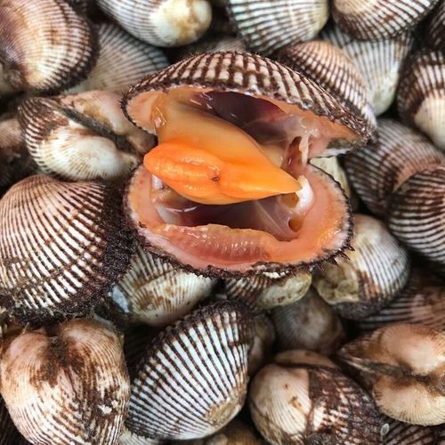 毛哈利怎么做_毛哈利做法步骤-第2张图片-山城妙识