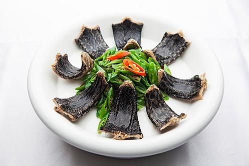 青椒焖蛇怎么做_青椒焖蛇的家常做法-第3张图片-山城妙识