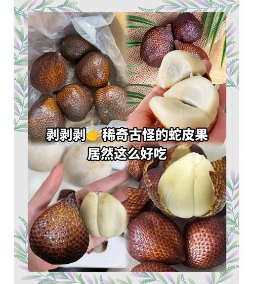 蛇皮怎么做好吃_蛇皮的做法大全-第2张图片-山城妙识