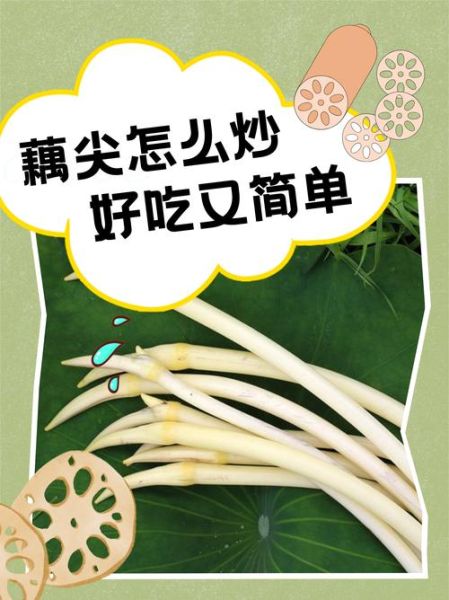 酸辣藕尖怎么做_酸辣藕尖的做法窍门-第2张图片-山城妙识