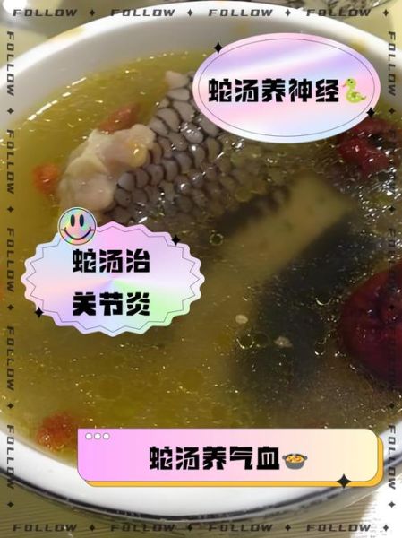 蛇汤怎么煲_蛇汤做法步骤详解-第3张图片-山城妙识