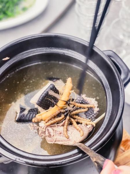 蛇汤怎么煲_蛇汤做法步骤详解-第1张图片-山城妙识