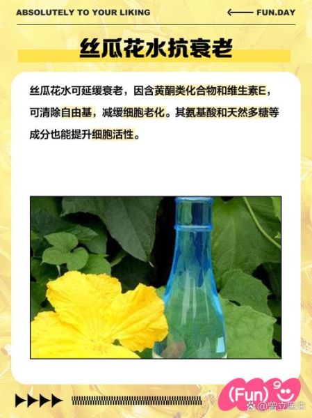 丝瓜花泡水喝的功效_丝瓜花泡水能天天喝吗-第1张图片-山城妙识 丝瓜花泡水喝的功效_丝瓜花泡水能天天喝吗-第1张图片-山城妙识