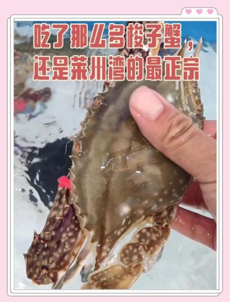 一斤的梭子蟹蒸多久_蒸梭子蟹最佳时间-第3张图片-山城妙识 一斤的梭子蟹蒸多久_蒸梭子蟹最佳时间-第3张图片-山城妙识