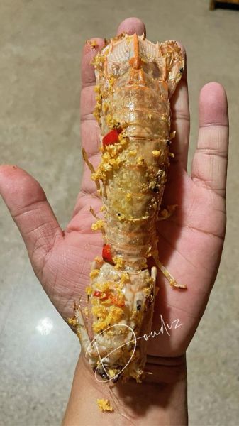 虾菇怎么做好吃_虾菇和皮皮虾的区别-第2张图片-山城妙识