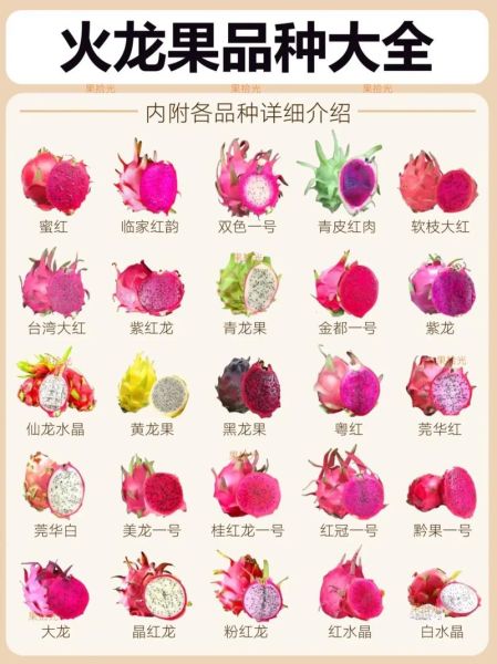 一天一个火龙果好不好_长期吃会不会上火-第2张图片-山城妙识 一天一个火龙果好不好_长期吃会不会上火-第2张图片-山城妙识