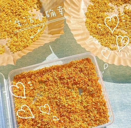 干桂花怎么制作_家庭自制干桂花方法-第2张图片-山城妙识 干桂花怎么制作_家庭自制干桂花方法-第2张图片-山城妙识