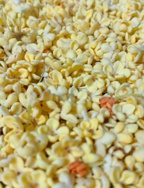 干桂花怎么制作_家庭自制干桂花方法-第1张图片-山城妙识 干桂花怎么制作_家庭自制干桂花方法-第1张图片-山城妙识