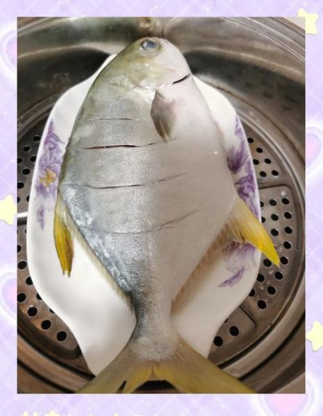 金昌鱼清蒸还是红烧好吃些_哪个更鲜美-第2张图片-山城妙识 金昌鱼清蒸还是红烧好吃些_哪个更鲜美-第2张图片-山城妙识