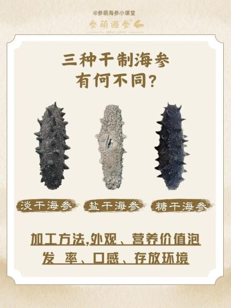 干海参多少钱一斤_如何挑选性价比高的干海参-第2张图片-山城妙识 干海参多少钱一斤_如何挑选性价比高的干海参-第2张图片-山城妙识