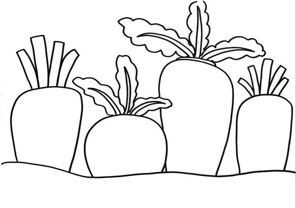 萝卜简笔画怎么画_萝卜简笔画图片大全集-第1张图片-山城妙识 萝卜简笔画怎么画_萝卜简笔画图片大全集-第1张图片-山城妙识